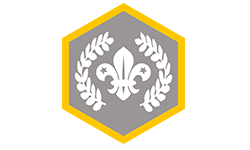 Chief Scouts Awards – Birmingham Scouts